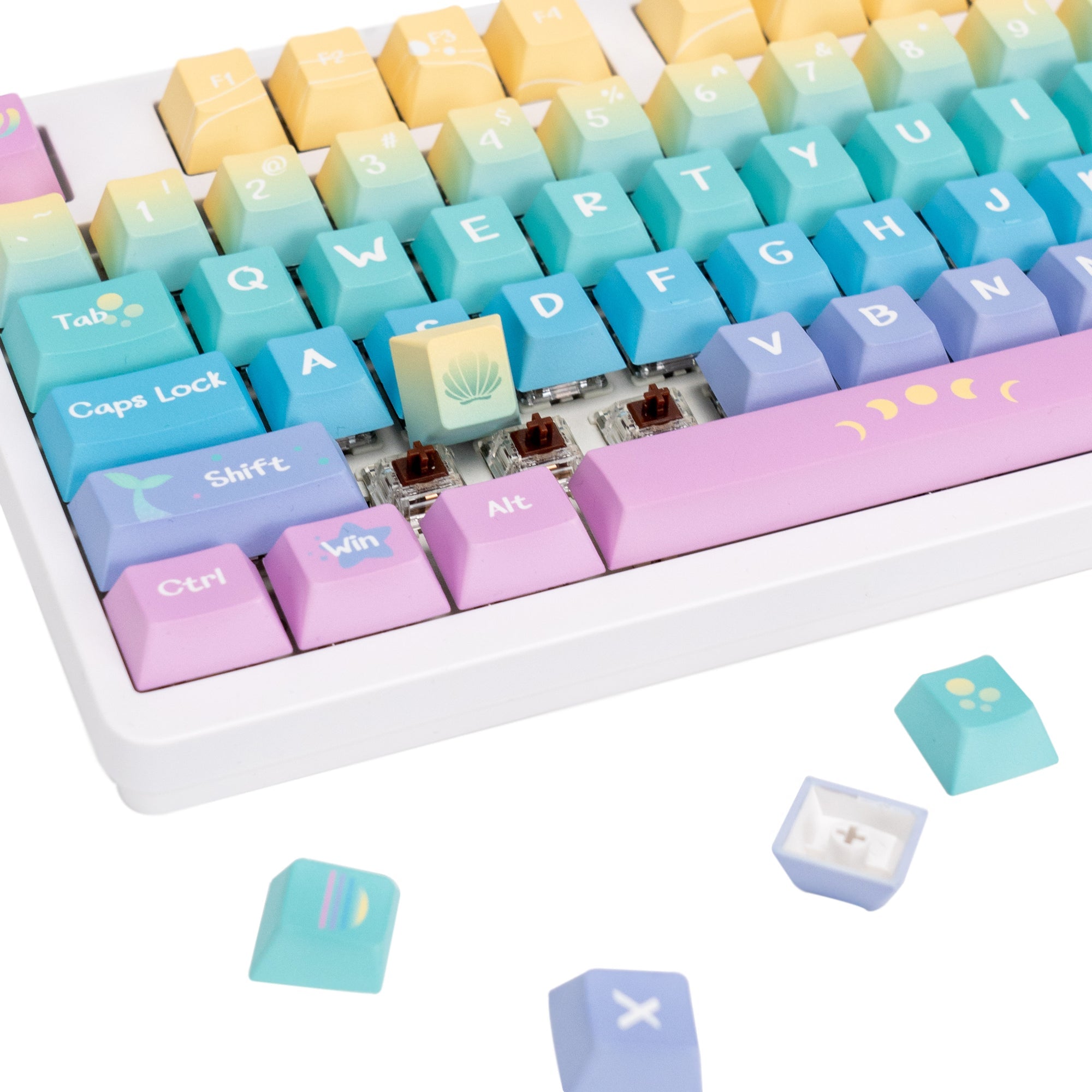[Animal Series]KG98 Hot-Swap RGB Mechanical Keyboard (whole keyboard k ...