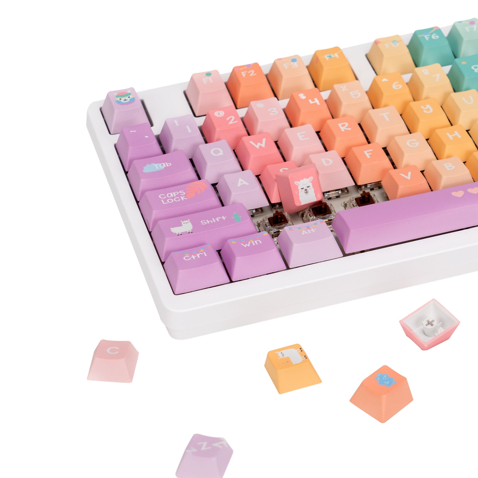 [Animal Series]KG98 Hot-Swap RGB Mechanical Keyboard (whole keyboard k ...