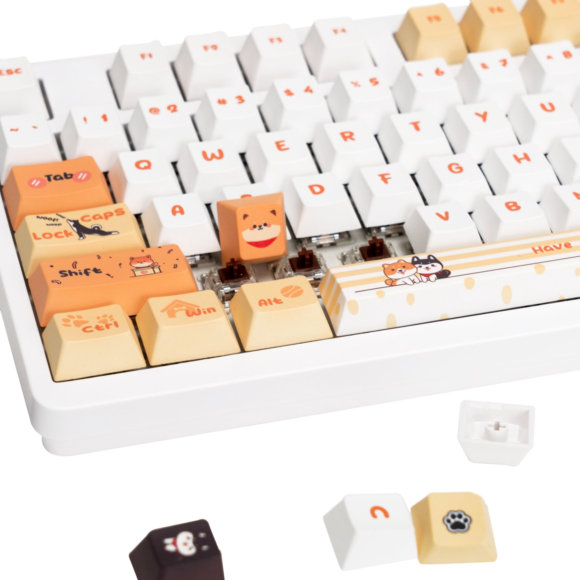 [Animal Series]KG98 Hot-Swap RGB Mechanical Keyboard (whole keyboard k ...