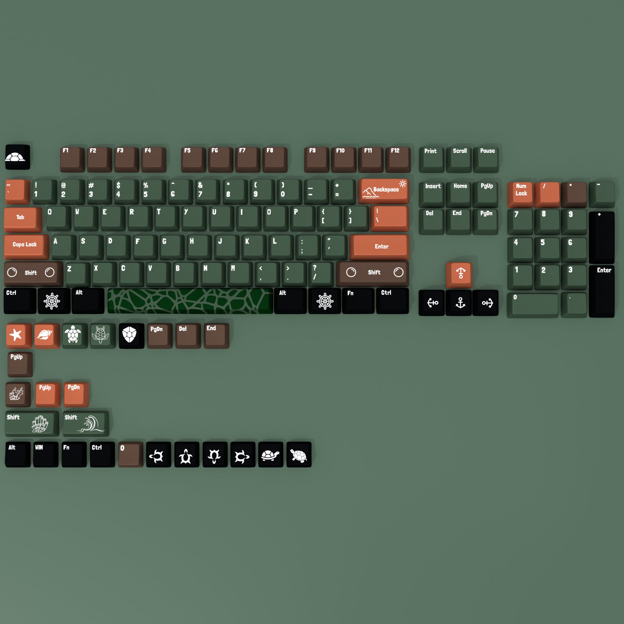 Turtle – KeyGeak