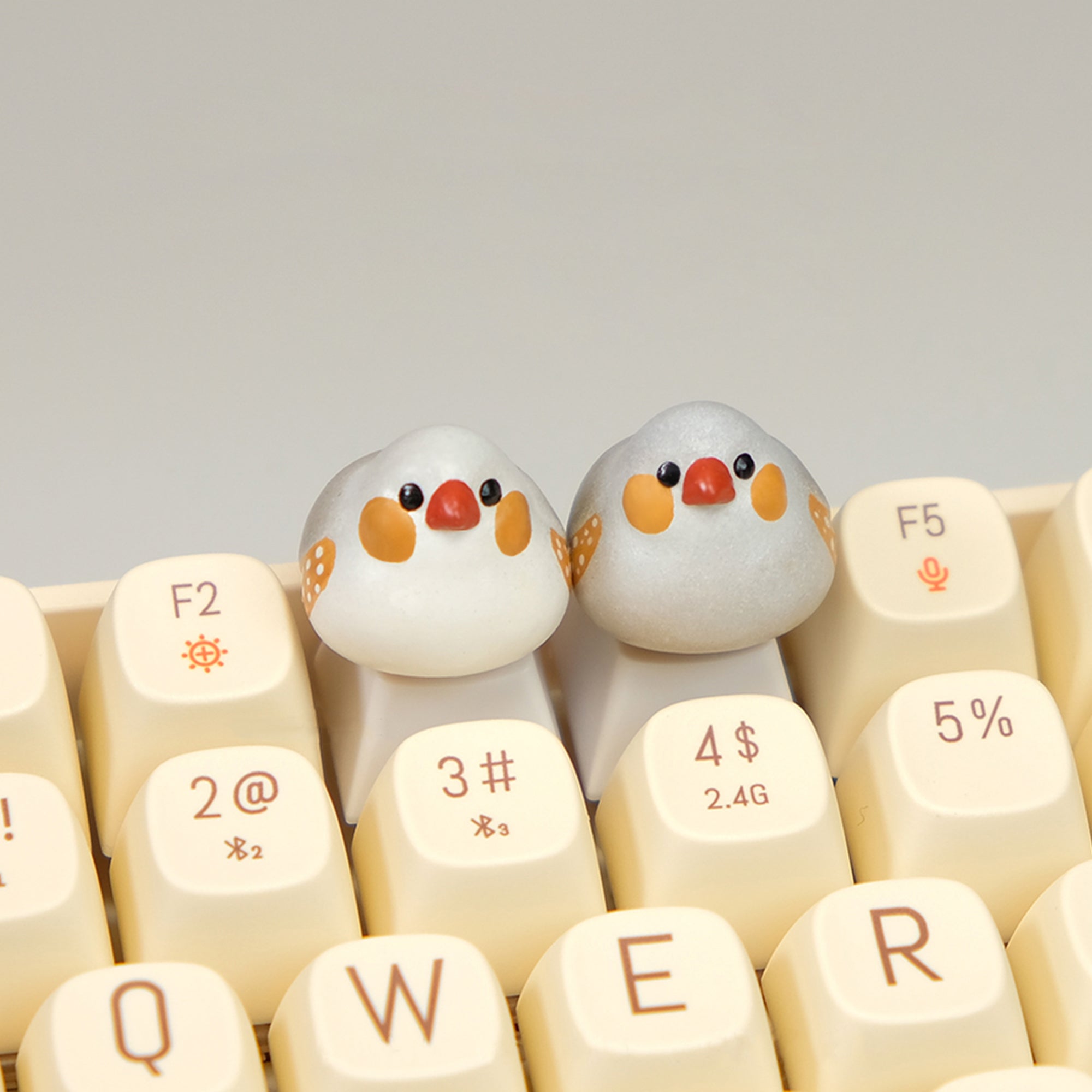 Chubby Bird Customized Keycap – KeyGeak