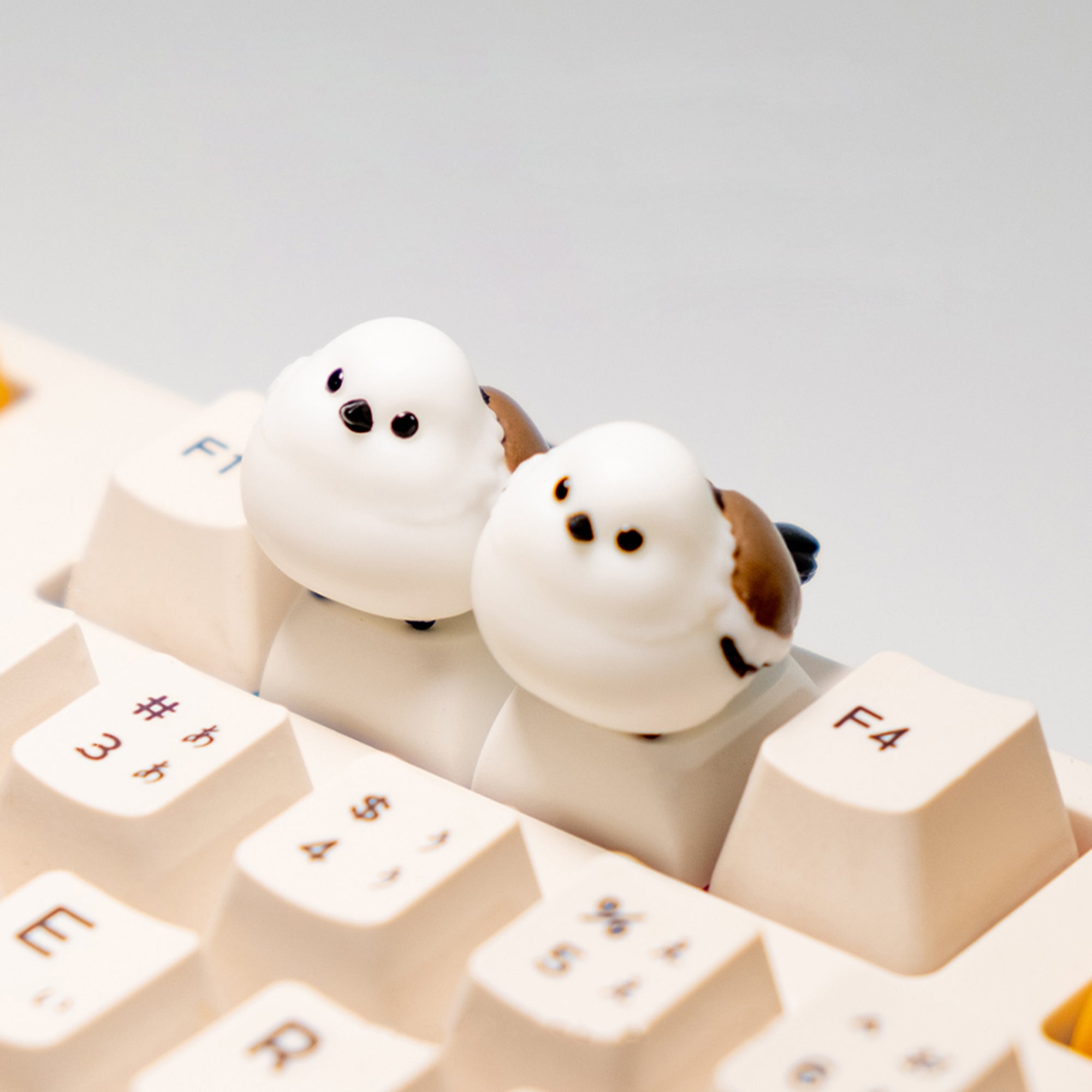 Chubby Bird Customized Keycap – KeyGeak