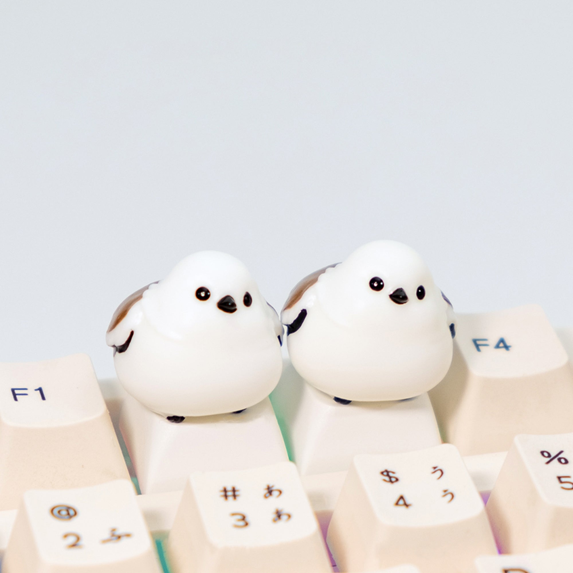 Chubby Bird Customized Keycap – KeyGeak