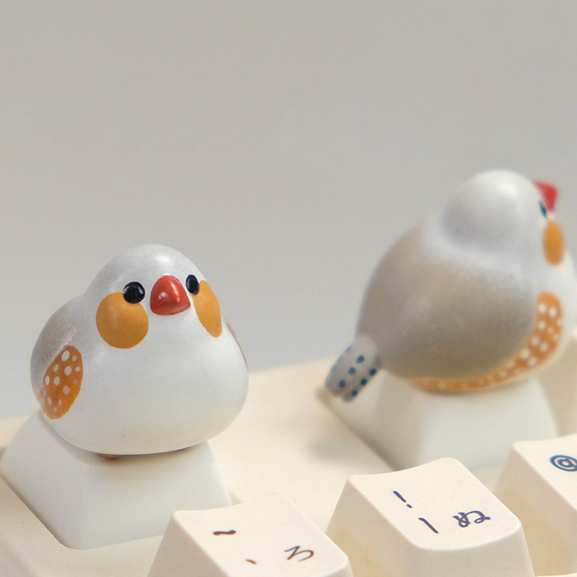 Chubby Bird Customized Keycap – KeyGeak