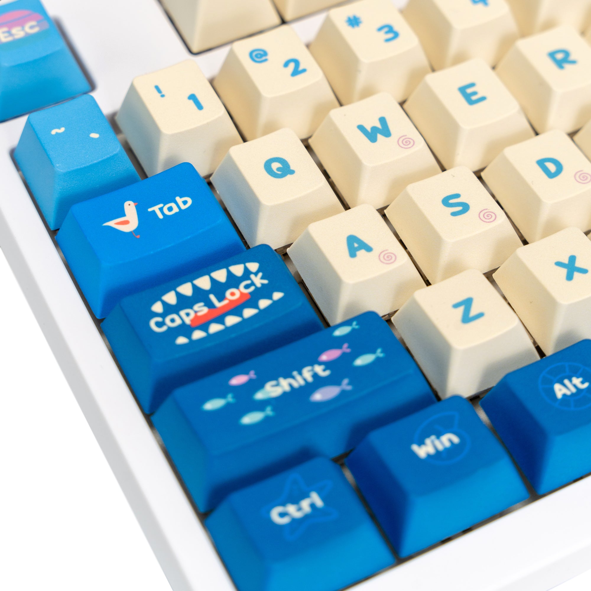 KG·DEMO DEMO100 Little Shark Hot-Swap Mechanical Keyboard – KeyGeak