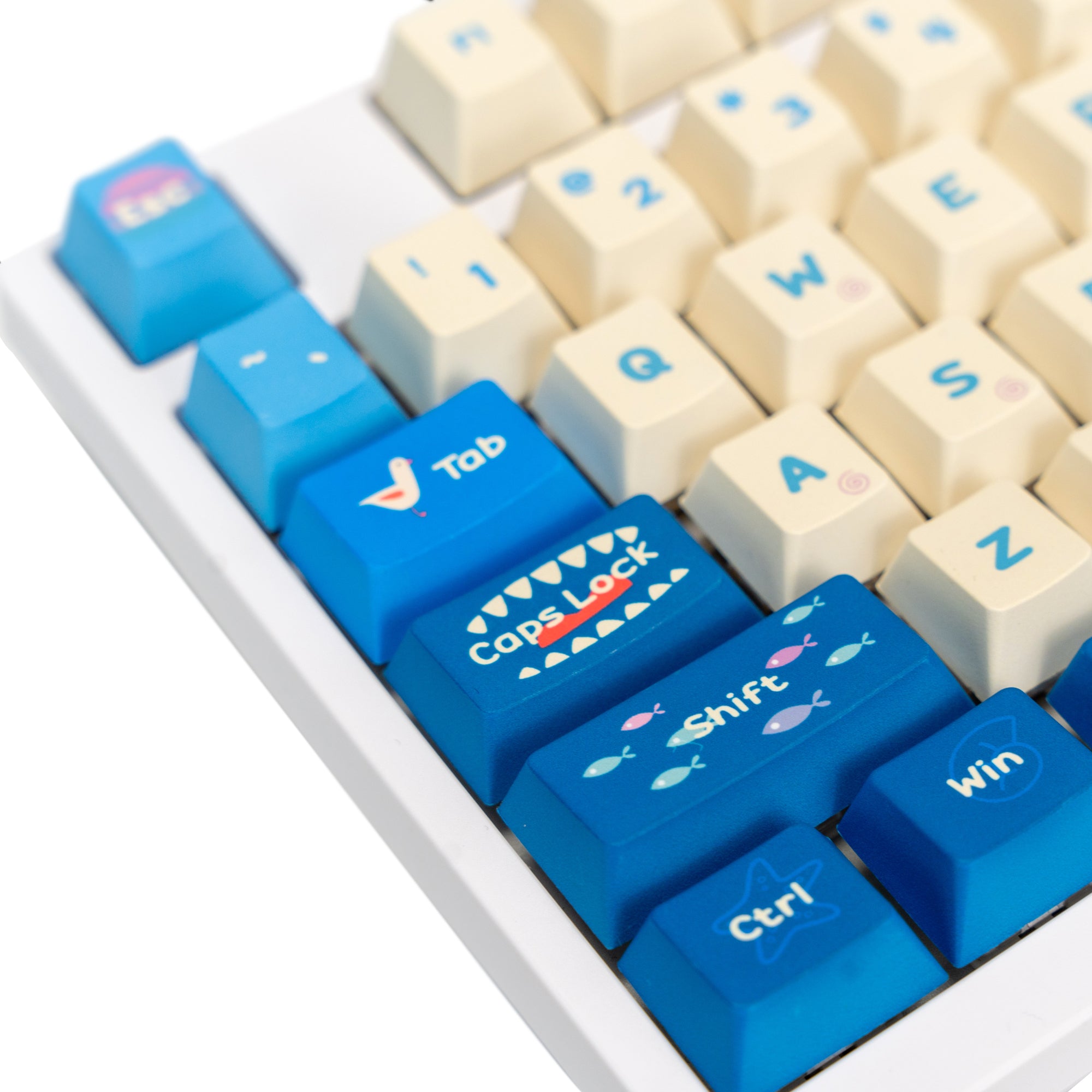 KG·DEMO DEMO100 Little Shark Hot-Swap Mechanical Keyboard – KeyGeak