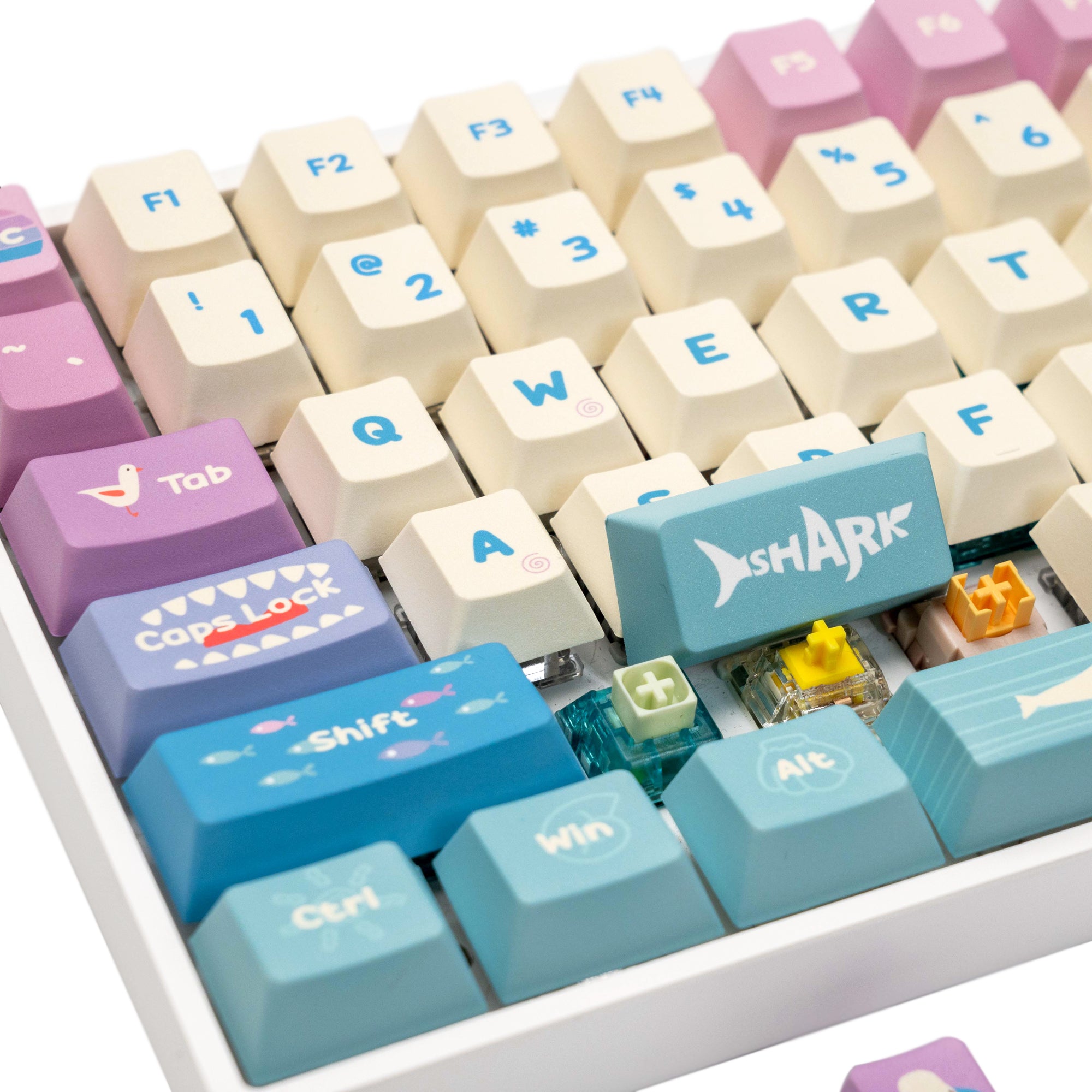 KG·DEMO DEMO100 Little Shark Hot-Swap Mechanical Keyboard – KeyGeak