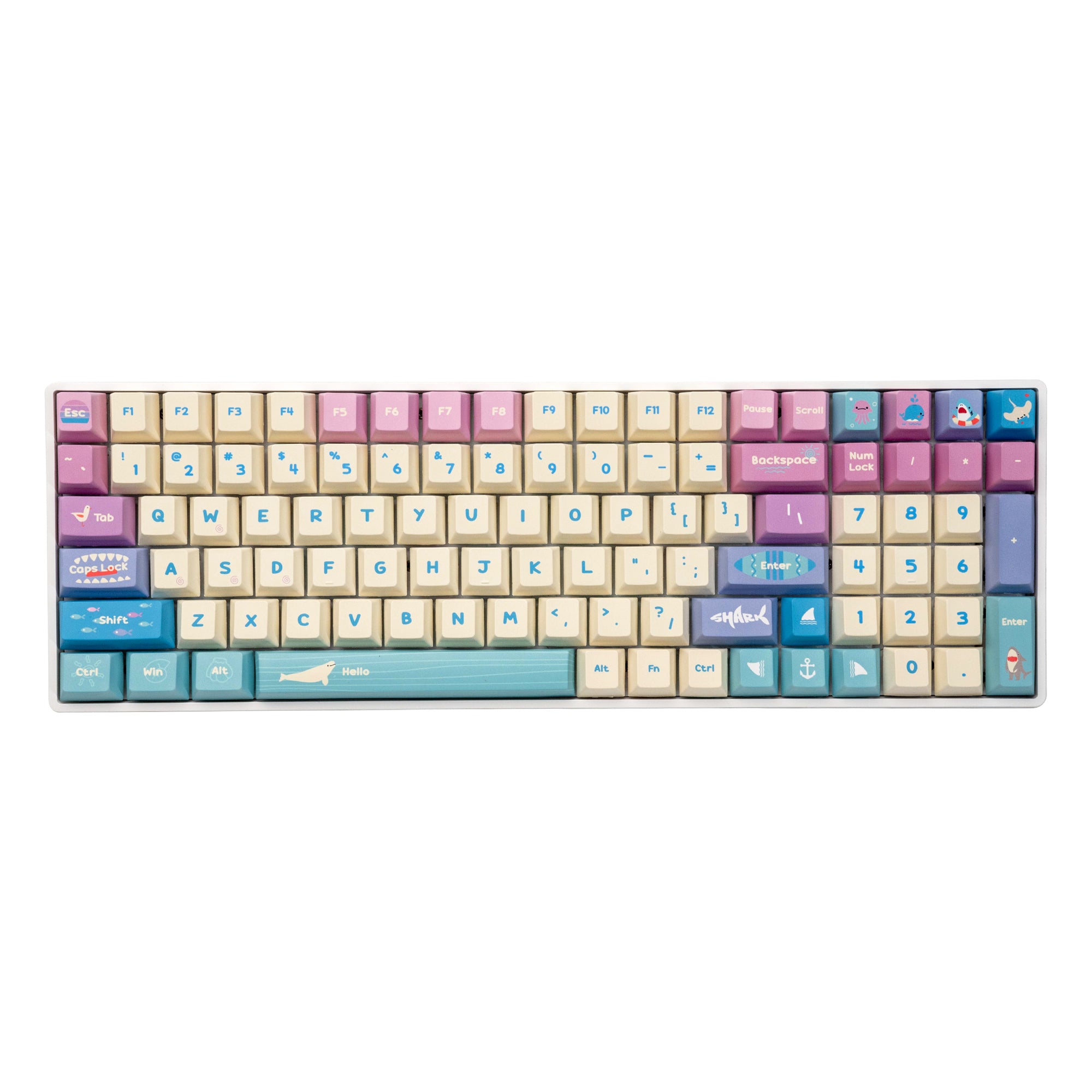 KG·DEMO DEMO100 Little Shark Hot-Swap Mechanical Keyboard – KeyGeak
