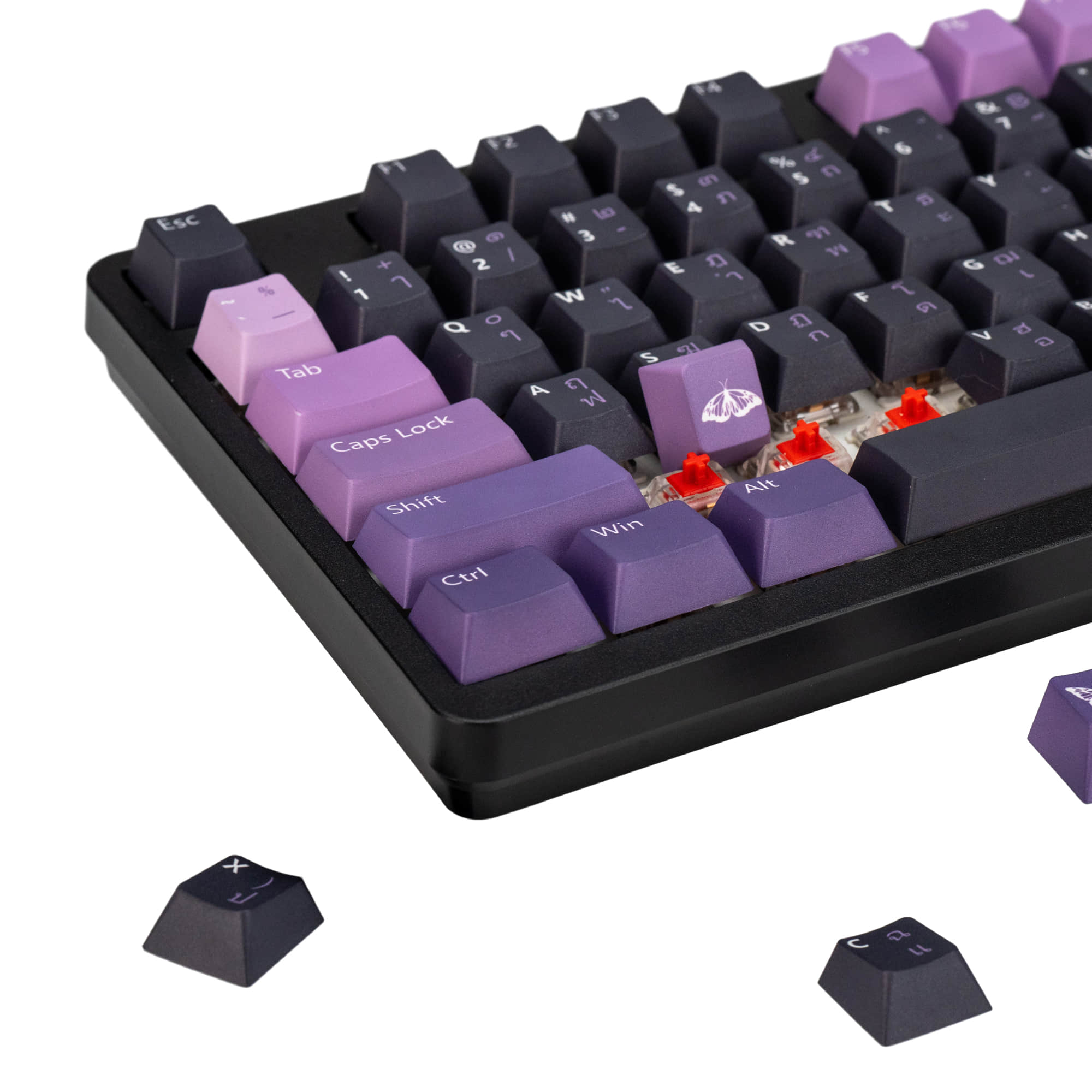 [Nature&Civilization]Hot-Swap RGB Tri-mode Mechanical Keyboard (Whole ...