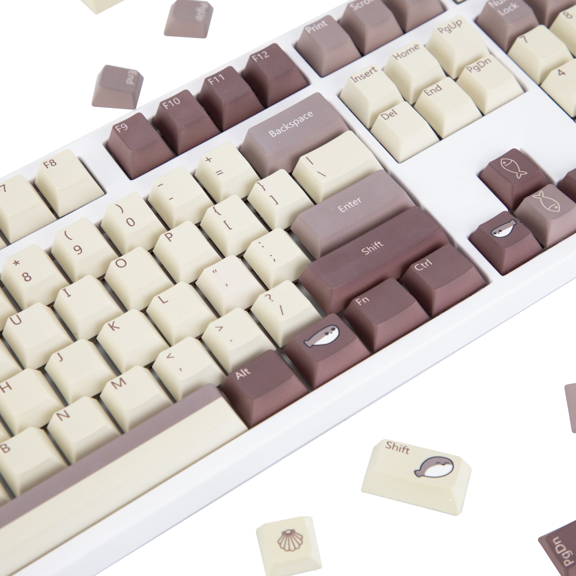 Sacabambaspis – KeyGeak