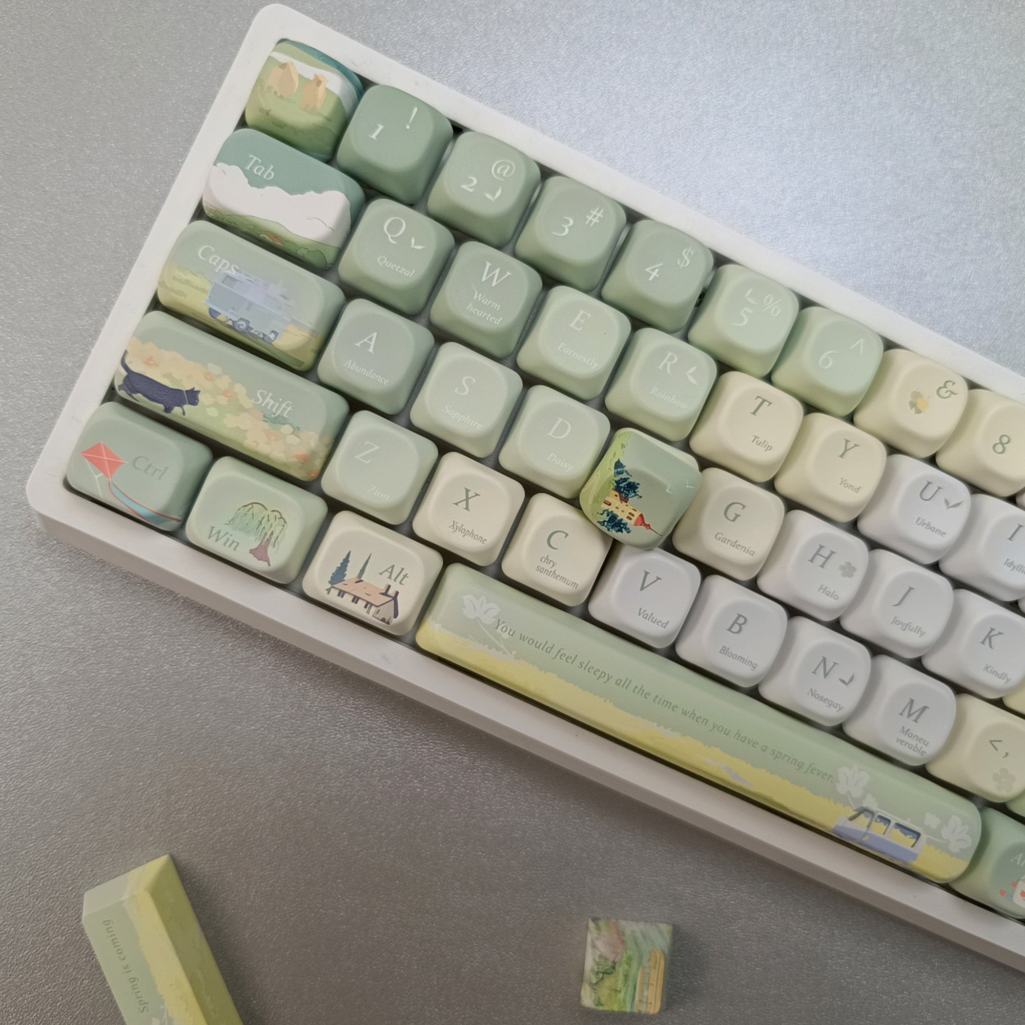 Spring Outing Cherry Profile PBT Keycaps Set – KeyGeak